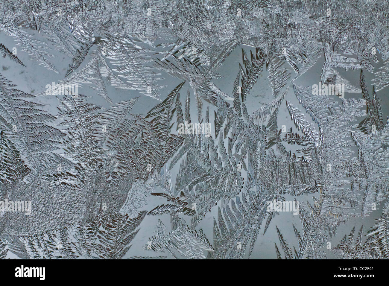Ice crystals - frost,ice pattern, on a frozen window Stock Photo - Alamy