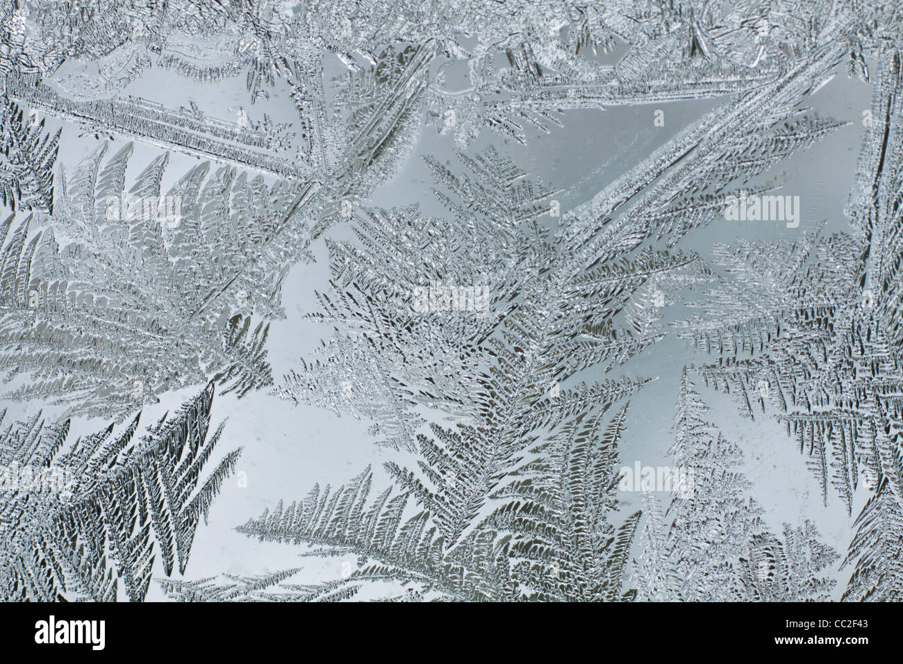 Ice crystals - frost,ice pattern, on a frozen window Stock Photo - Alamy