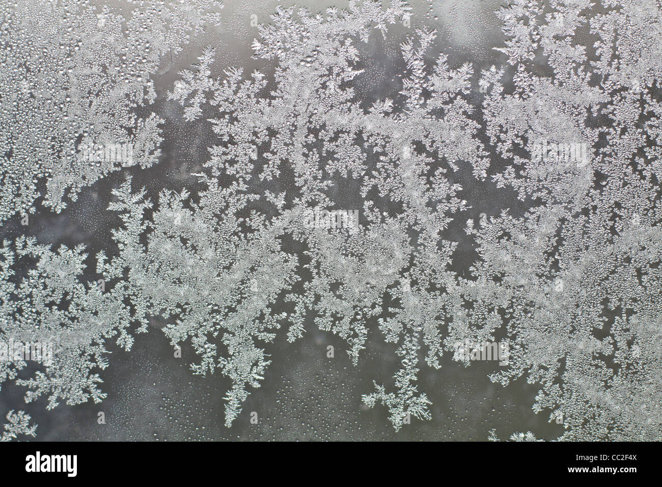 Ice crystals - frost,ice pattern, on a frozen window Stock Photo - Alamy