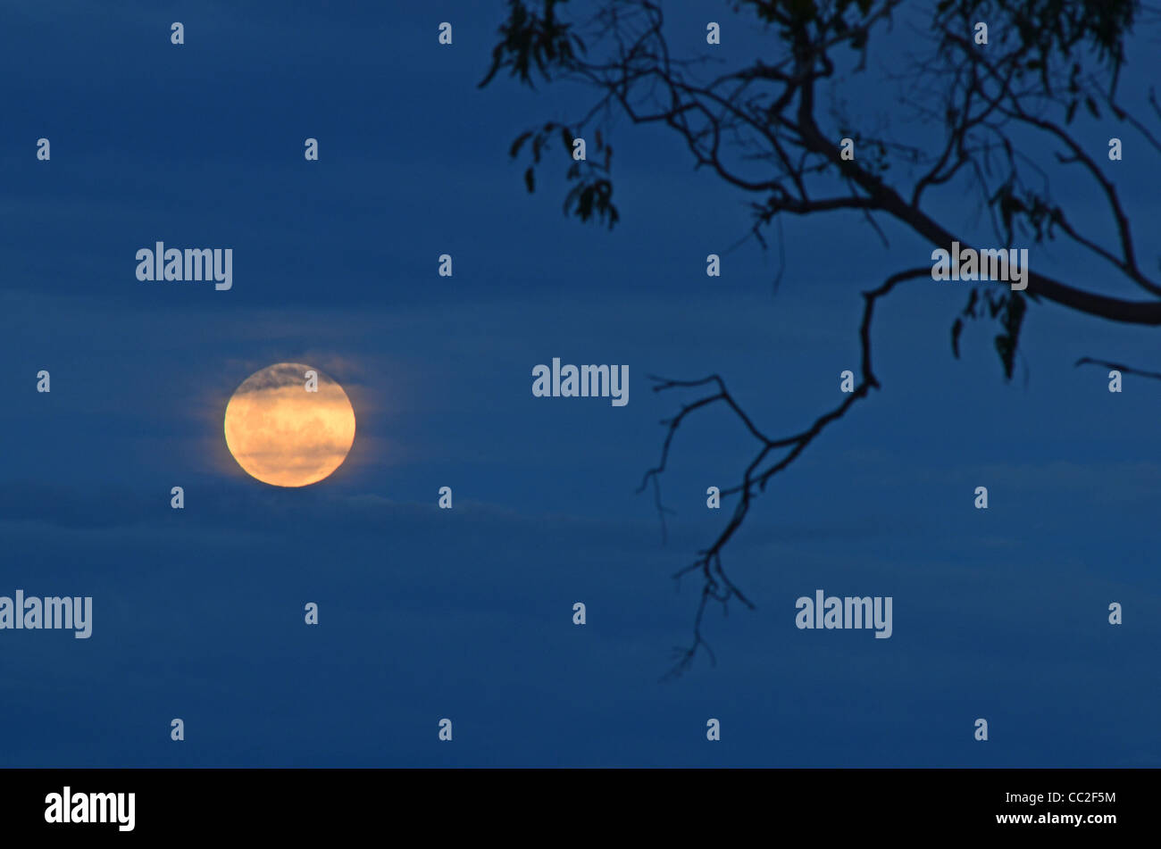 Rising full moon Stock Photo - Alamy