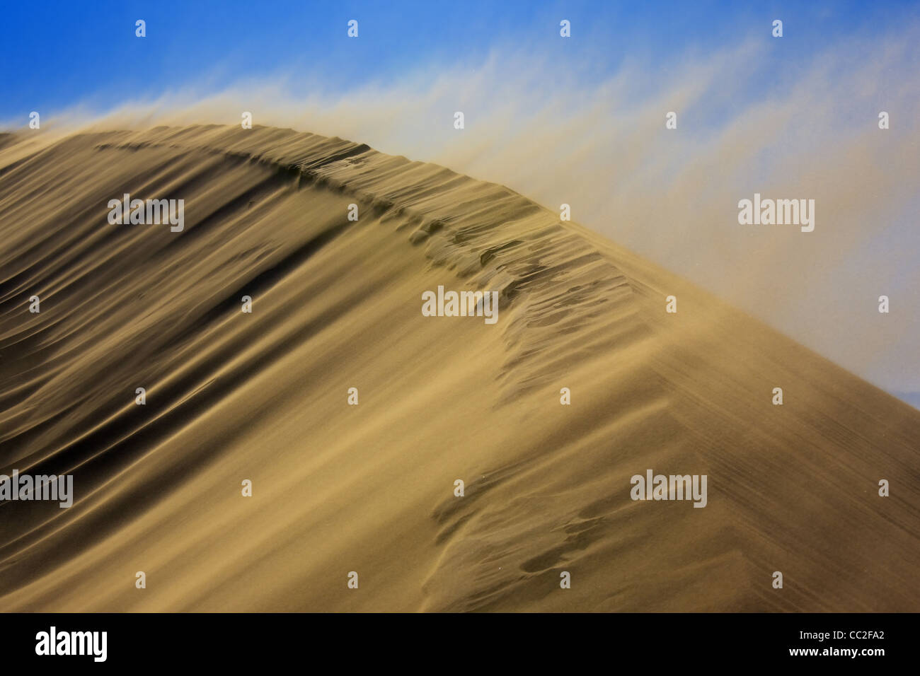 Sandstorm in desert national park Altyn-Emel, Kazakhstan Stock Photo ...