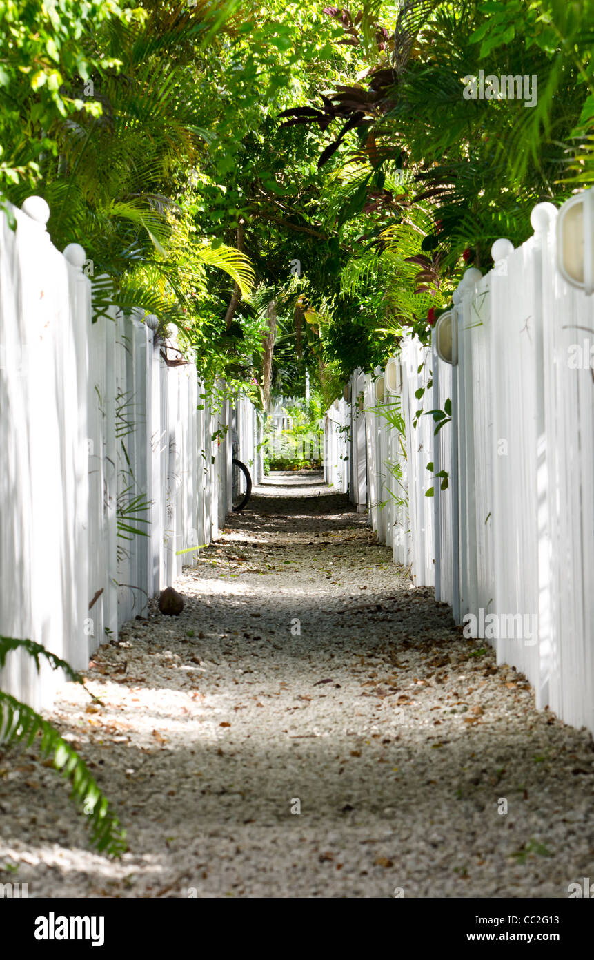 White walking path hi-res stock photography and images - Alamy