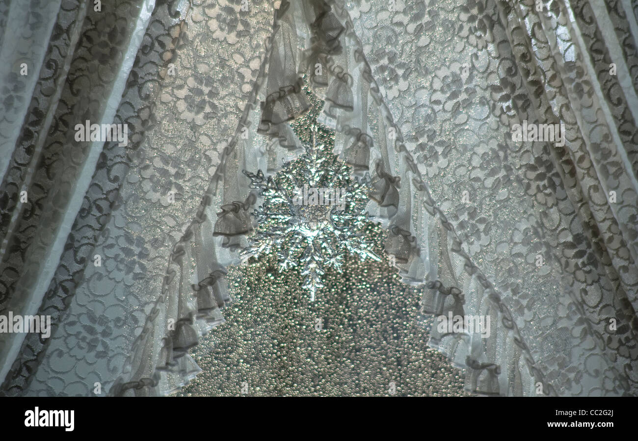 star - Christmas snowdrop Stock Photo - Alamy