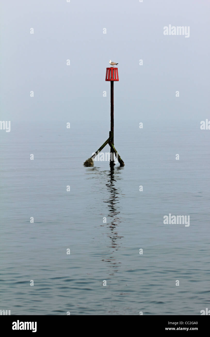 Seagull standing on a sea lantern Stock Photo - Alamy