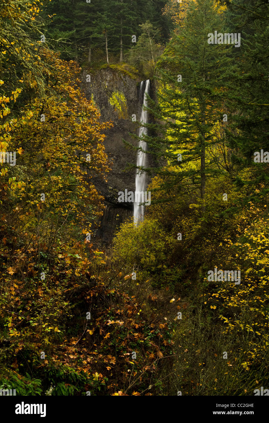 Latourell Falls in the Columbia River Gorge Stock Photo - Alamy