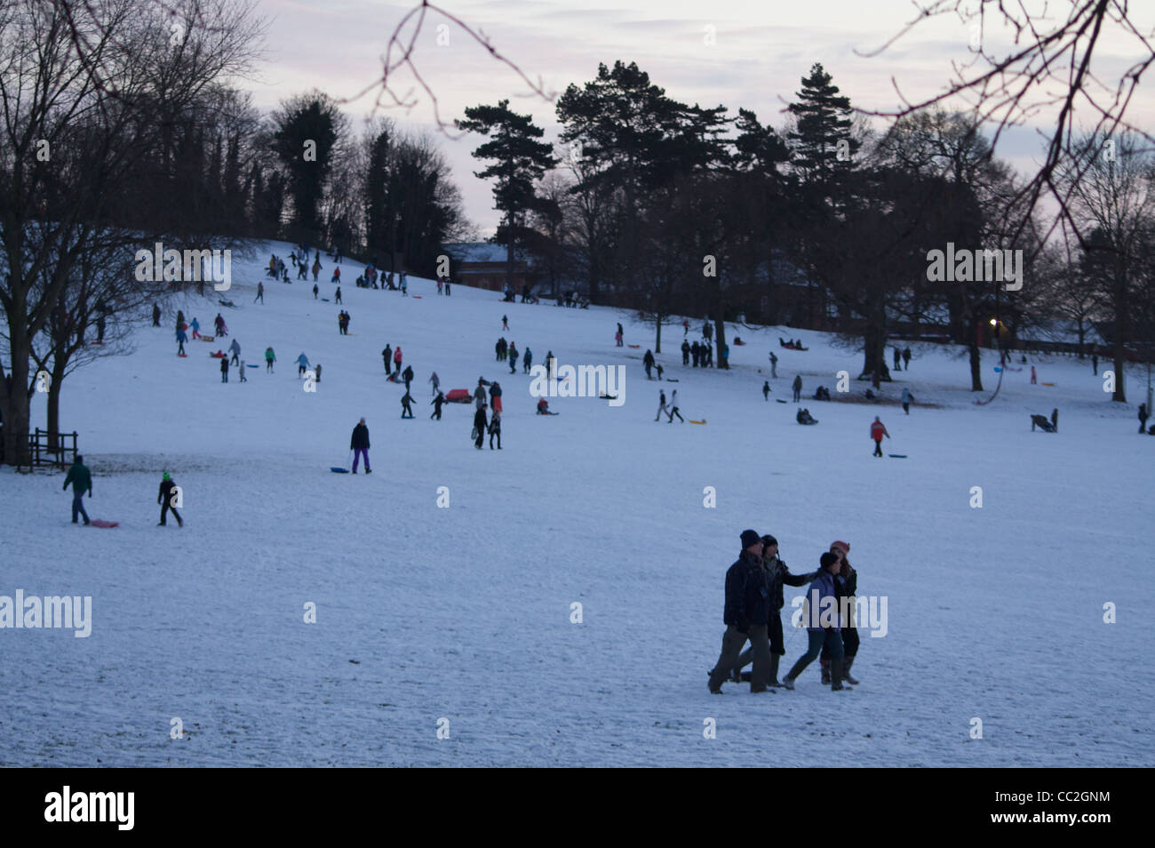 Sledge ski snow hi-res stock photography and images - Alamy
