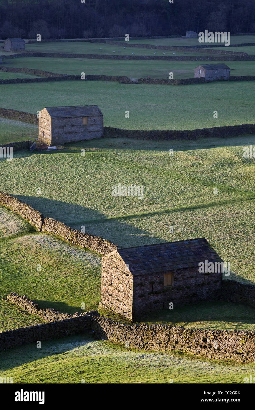 Stony Limestone Barns & farm fields pasture, dry stone walls, November ...