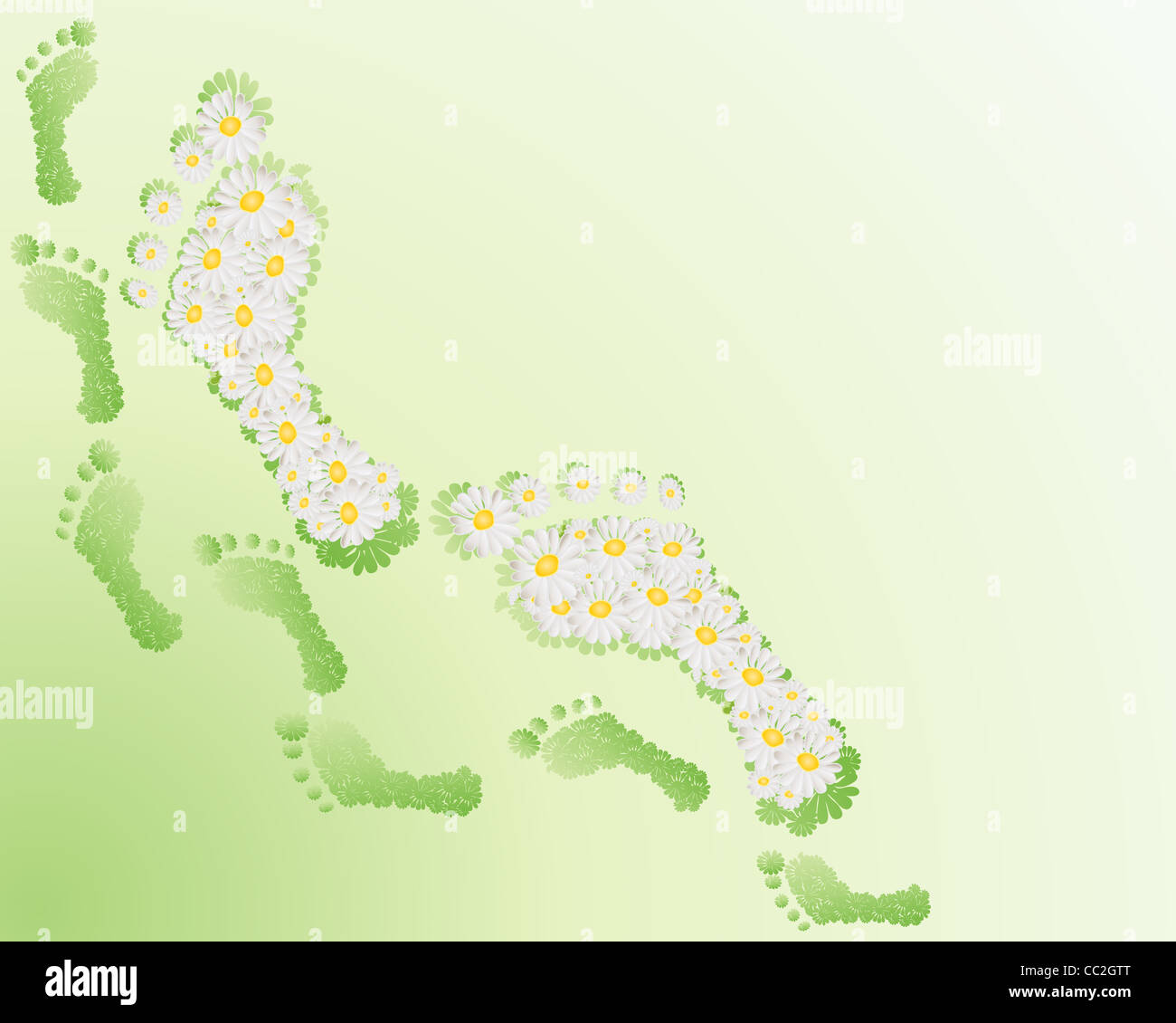 an illustration of footprints made with daisy flowers on a pale green ...