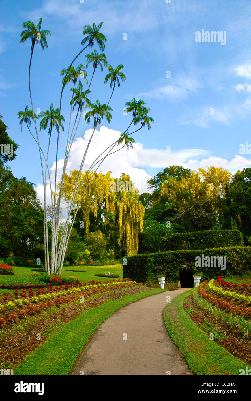 Royal Peradeniya Botanical Gardens near Kandy, Sri Lanka. The park is ...