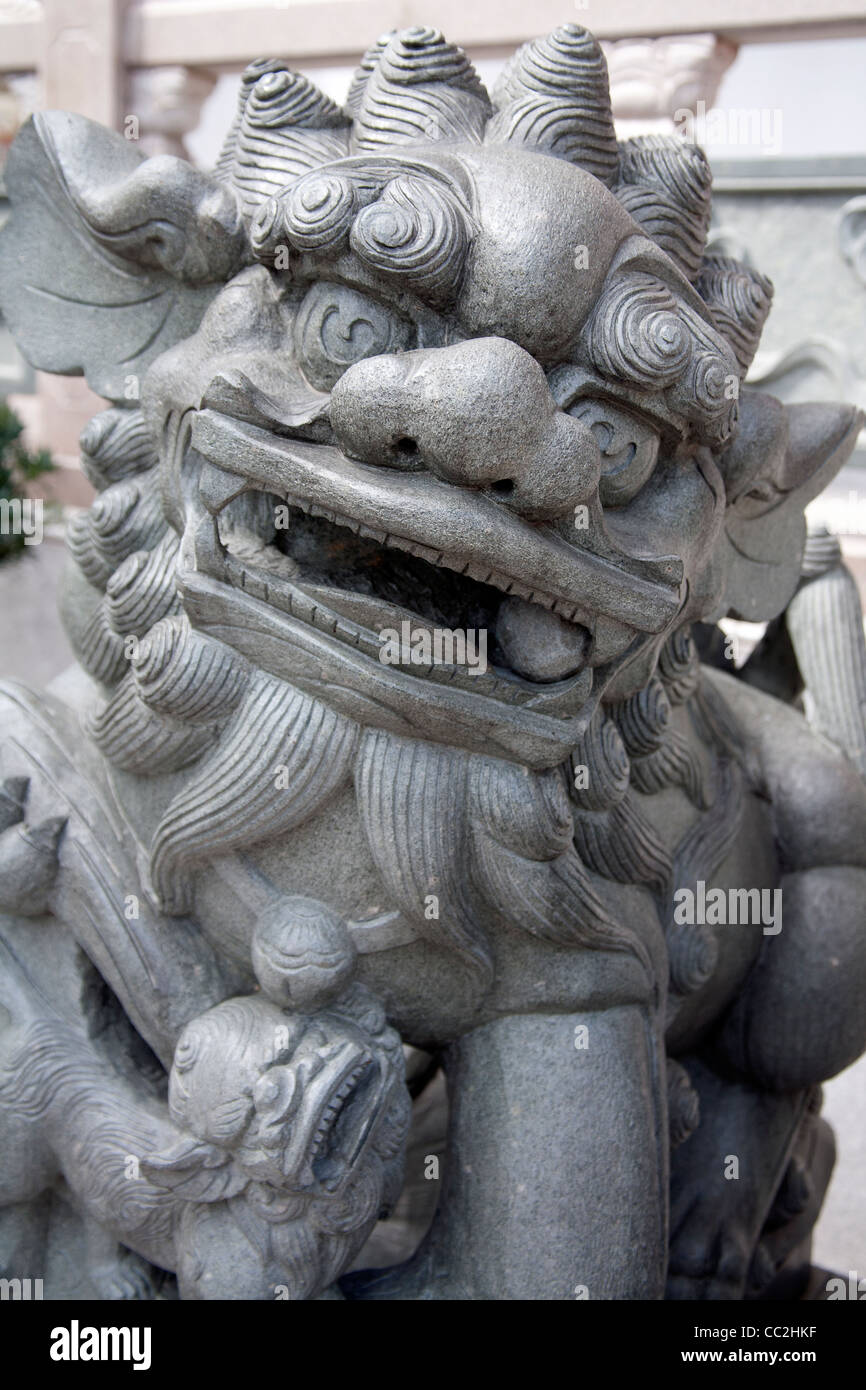 Fat lion hi-res stock photography and images - Alamy