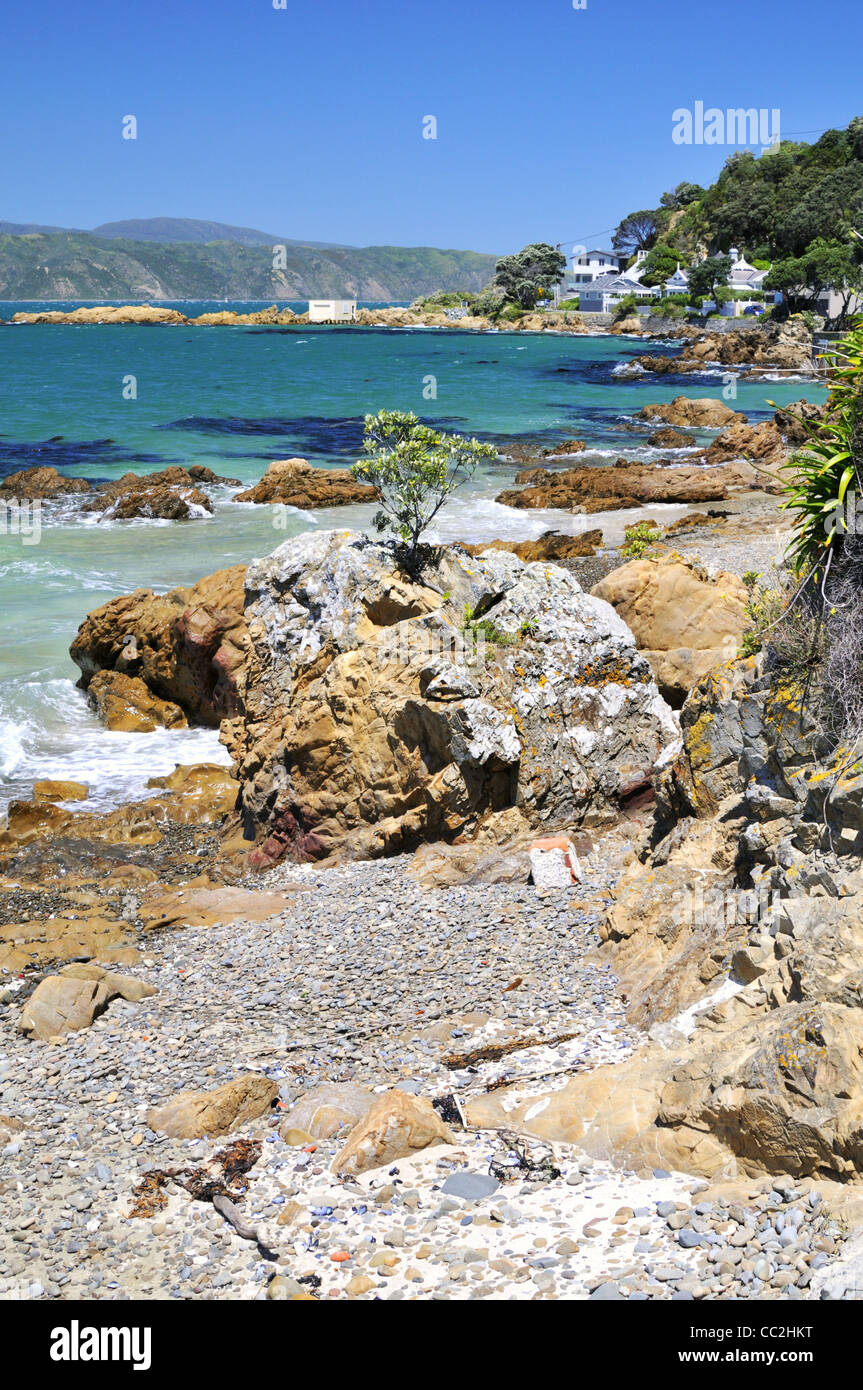 Wellington coastal landscape, New Zealand Stock Photo - Alamy