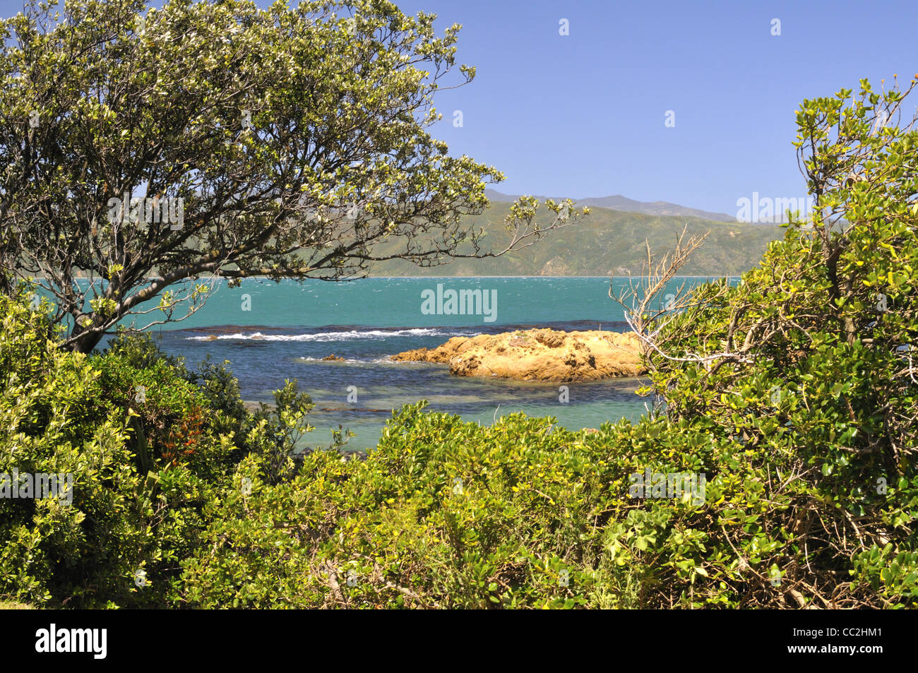 Wellington coastal landscape, New Zealand Stock Photo - Alamy