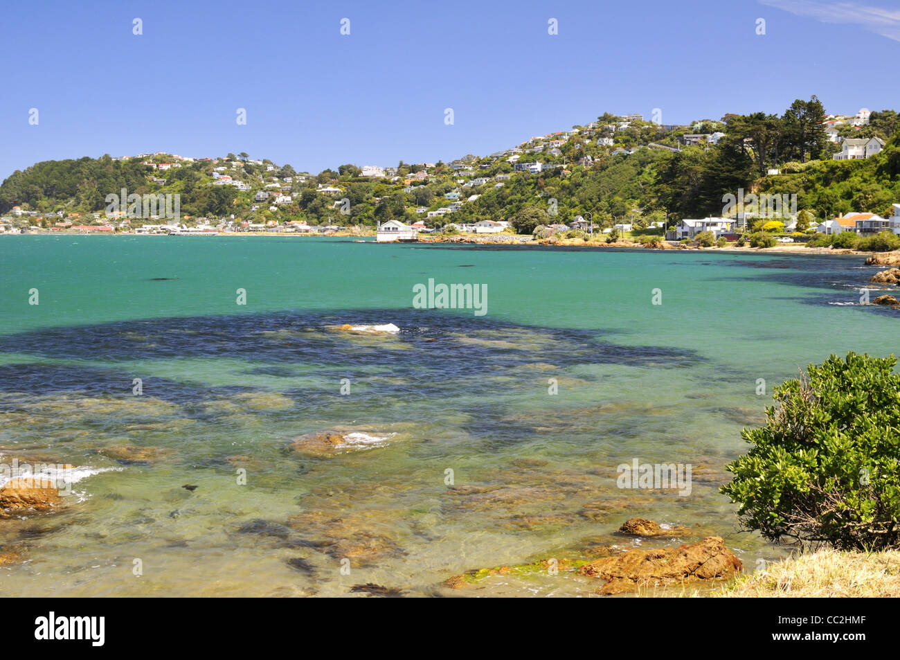 Wellington coastal landscape, New Zealand Stock Photo - Alamy