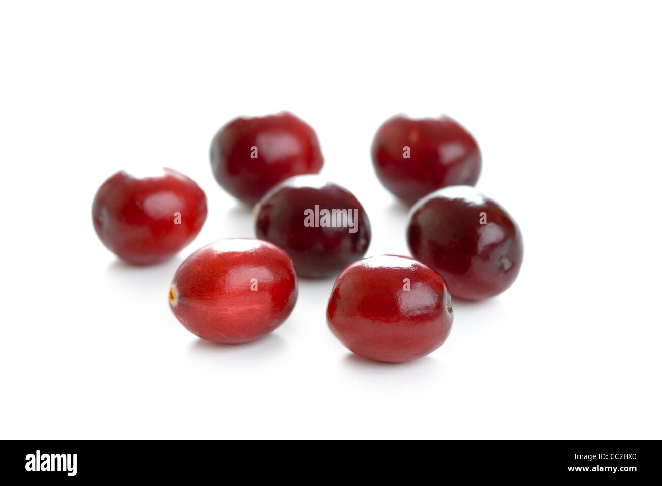fresh cranberries isolated on a white background Stock Photo - Alamy