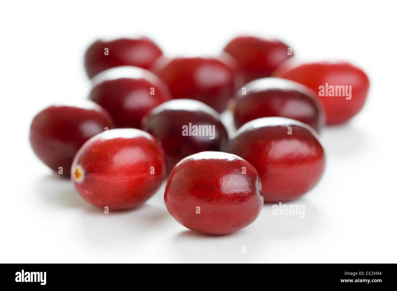 fresh cranberries isolated on a white background Stock Photo - Alamy