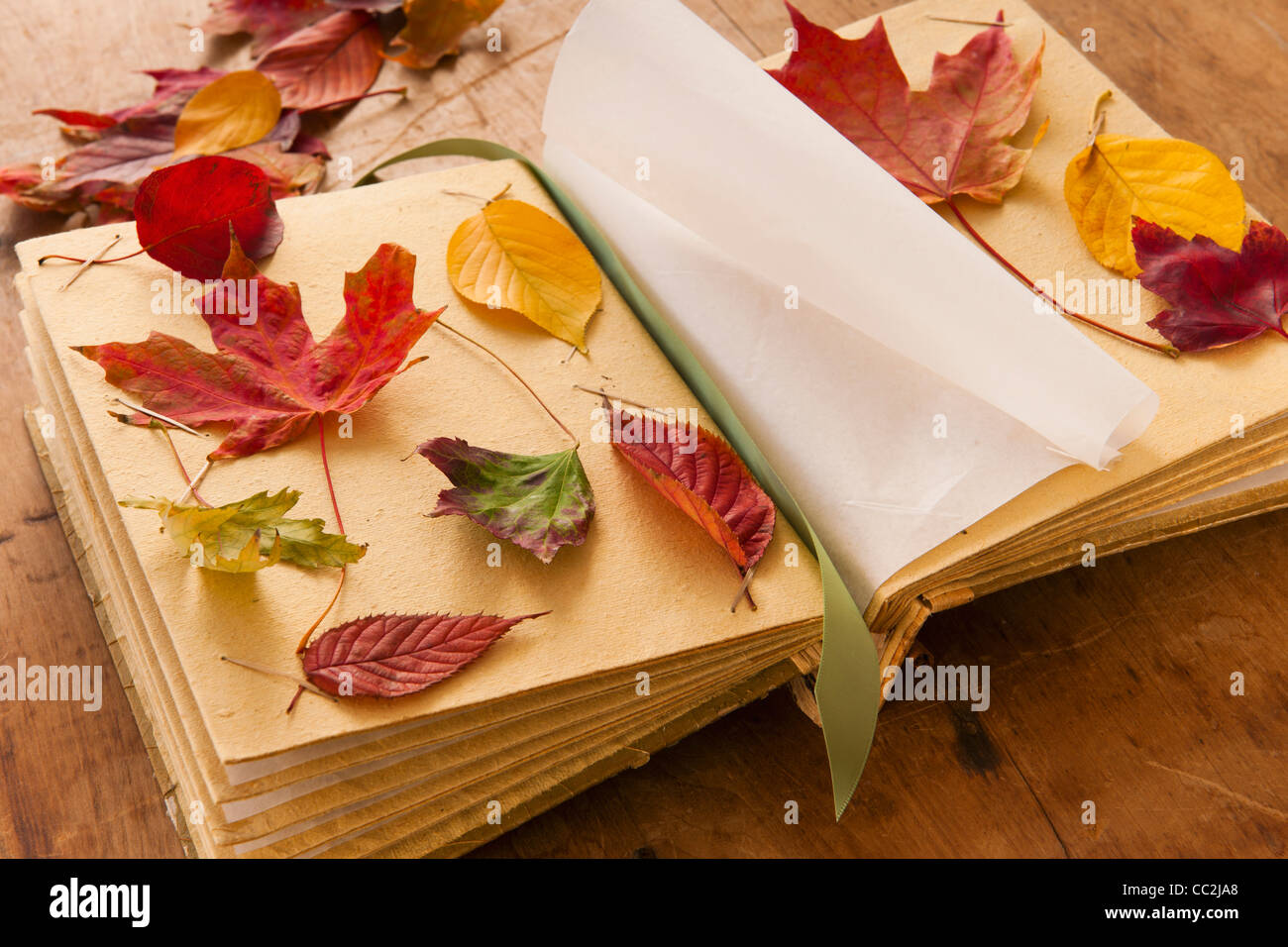 Autumn leaves on book, studio shot Stock Photo - Alamy