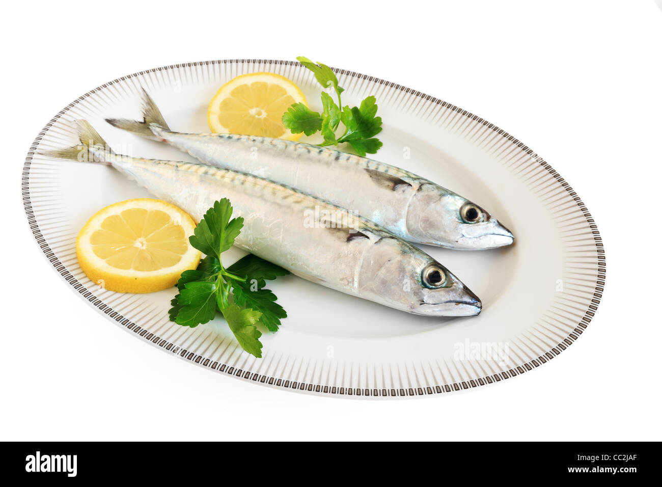 Two mackerel hi-res stock photography and images - Alamy