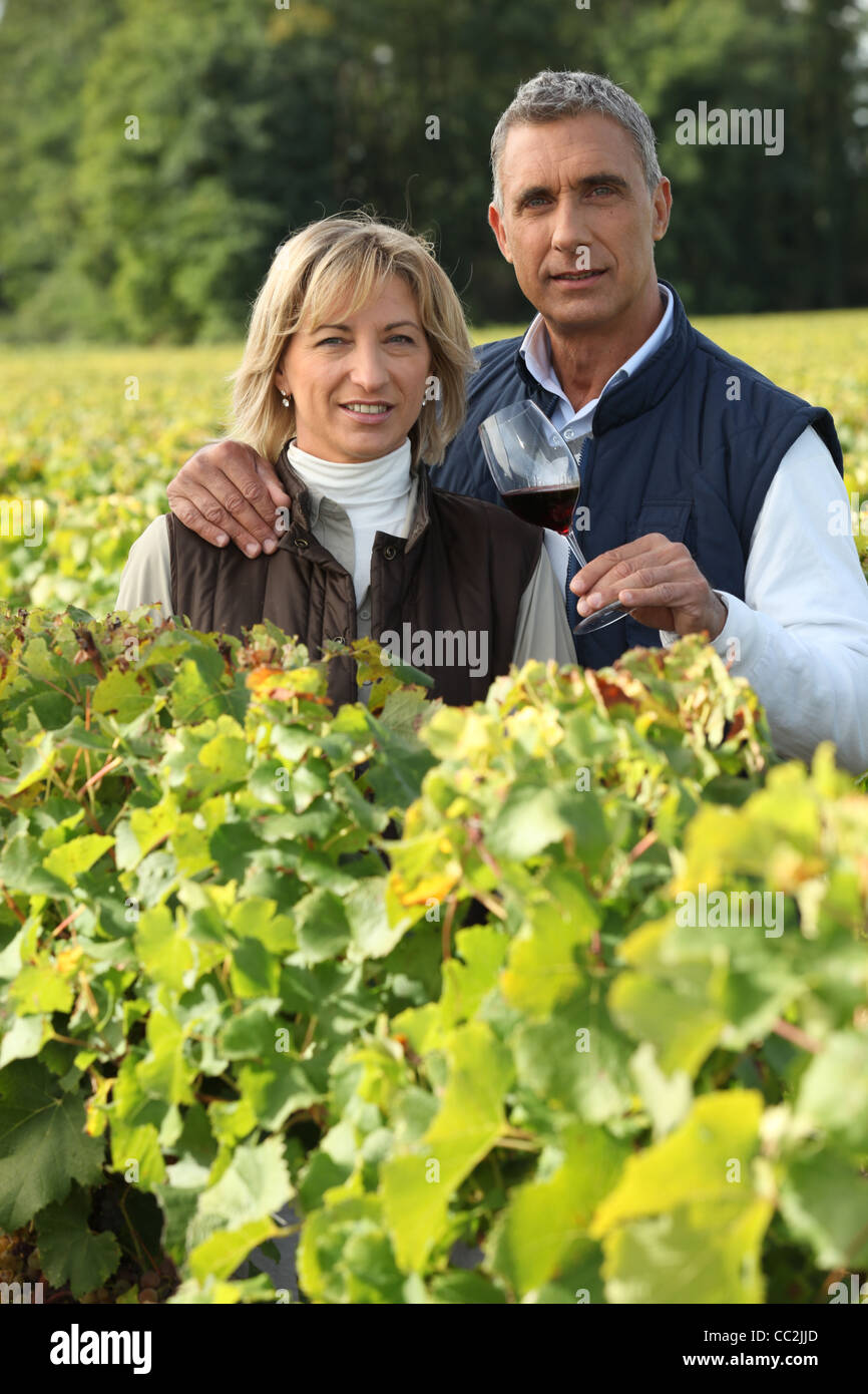 couple in the vines, man holding a red wine glass Stock Photo - Alamy