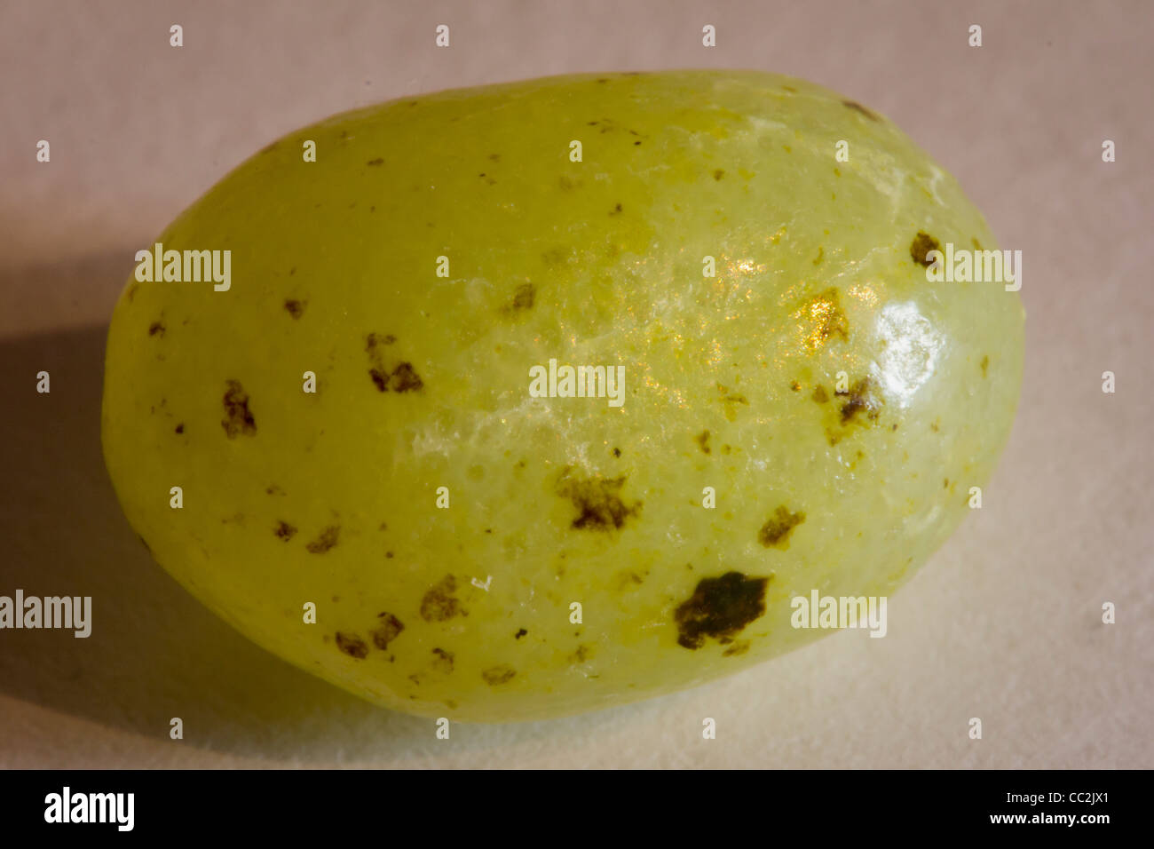 One Green Jelly Bean