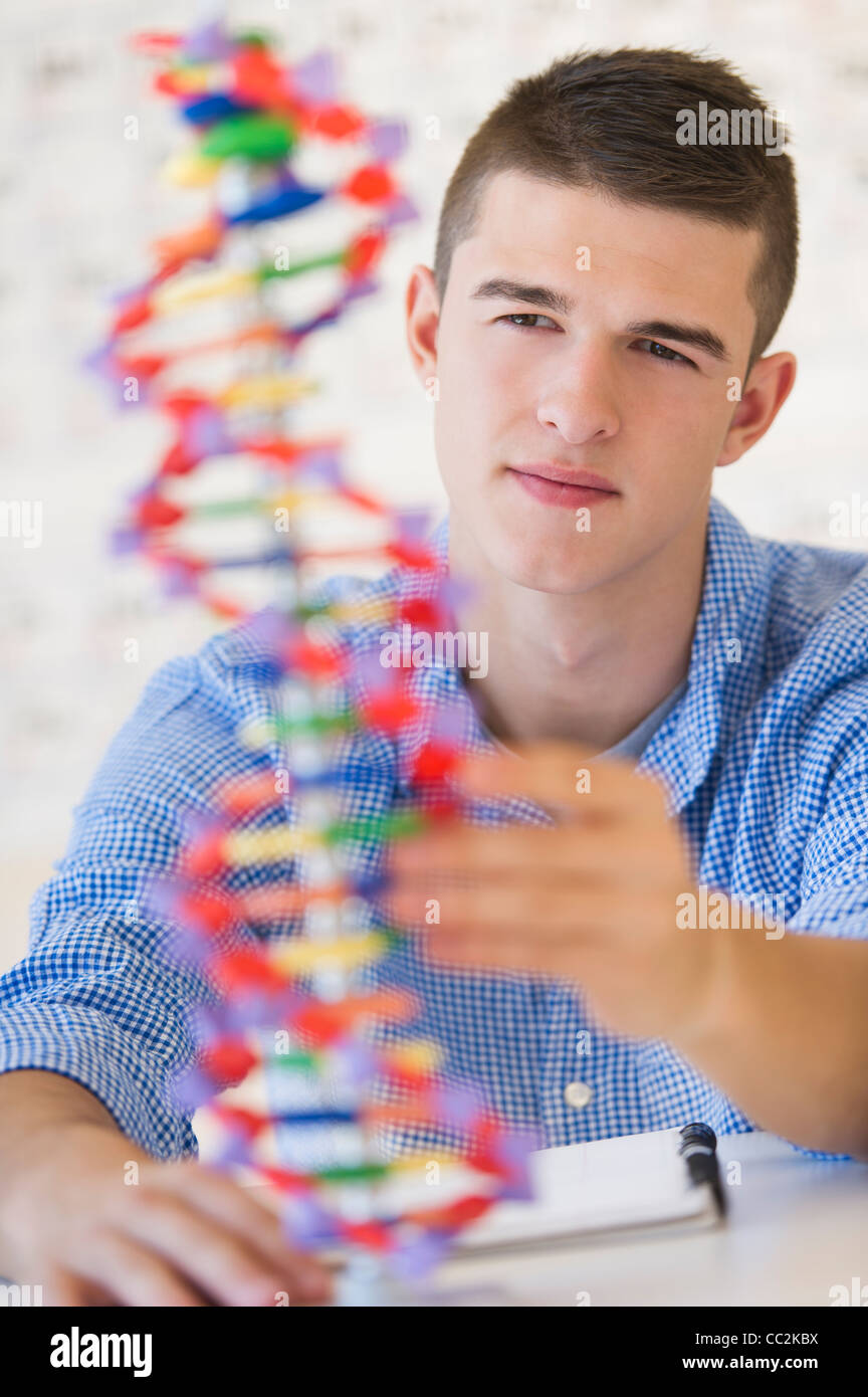USA, New Jersey, Jersey City, Teenage student (16-17) learning genetics ...
