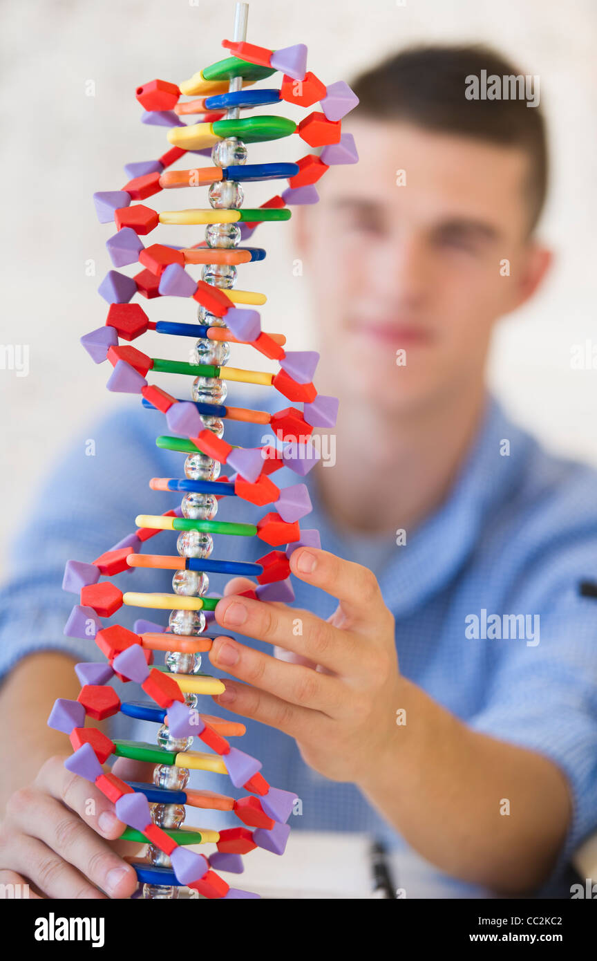 USA, New Jersey, Jersey City, Teenage student (16-17) learning genetics ...