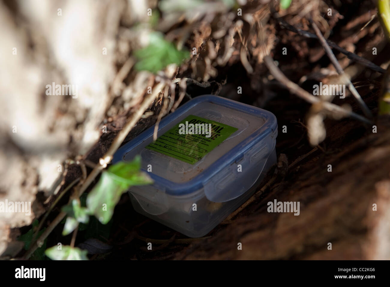 Small tupperware geocache box hidden in woodland environment Stock ...