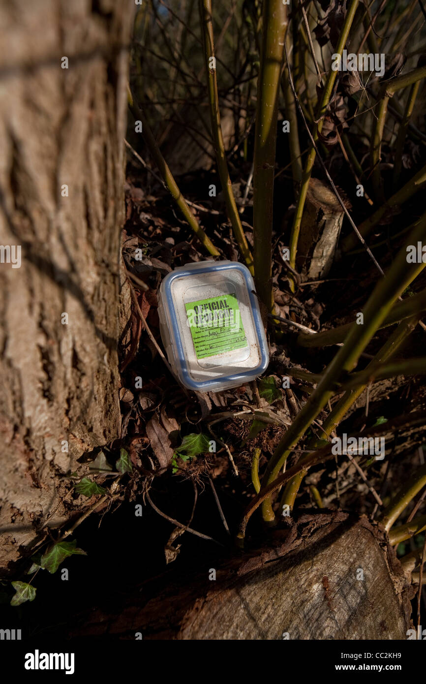 Small geocache box near trees in a woodland environment Stock Photo - Alamy