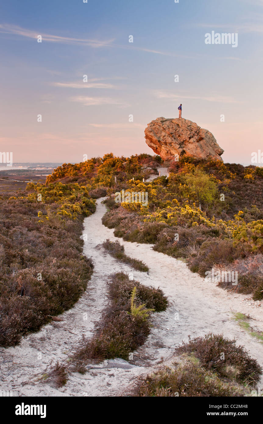 Agglestone Rock Studland Dorset Stock Photo - Alamy
