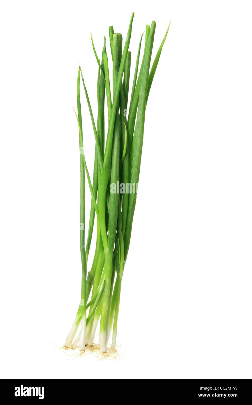Shallots and scallions hi-res stock photography and images - Alamy