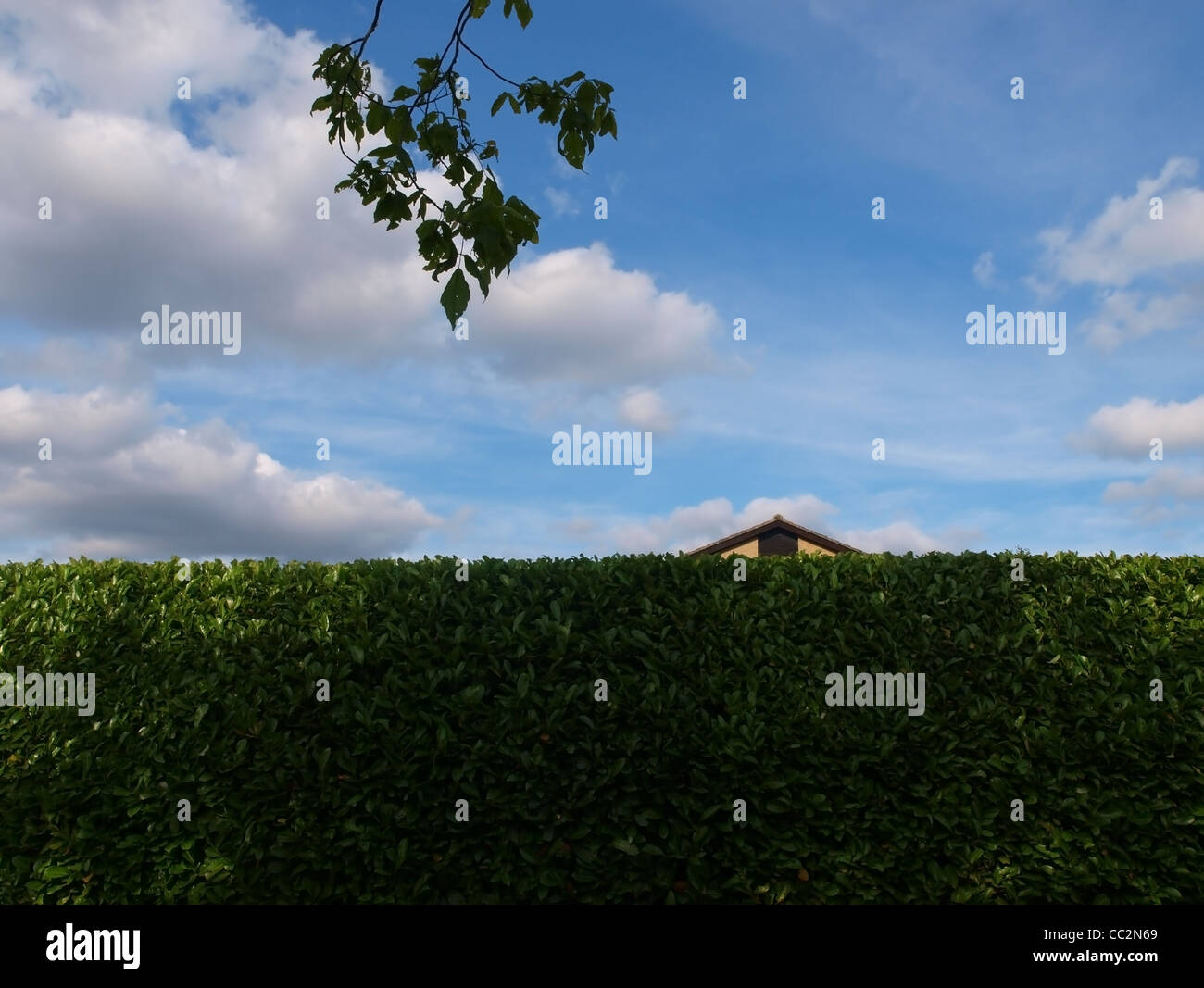 High hedge hi-res stock photography and images - Alamy