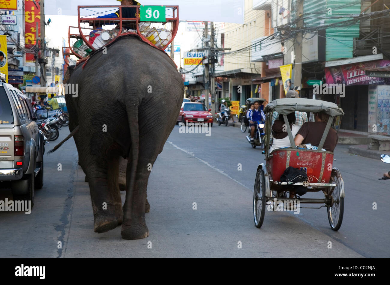 Saamlaw (three wheeled pedicab) sharing the roads with elephant taxis ...