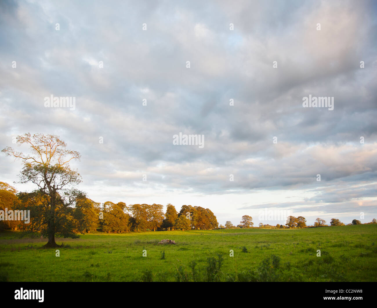 Ireland, County Westmeath, Landscape Stock Photo - Alamy