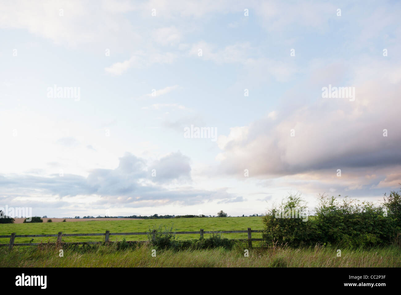 Ireland, County Westmeath, landscape with pasture Stock Photo - Alamy