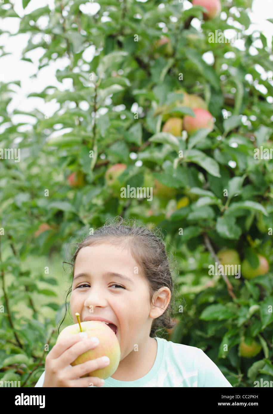 Kid eating apple tree black hi-res stock photography and images - Alamy