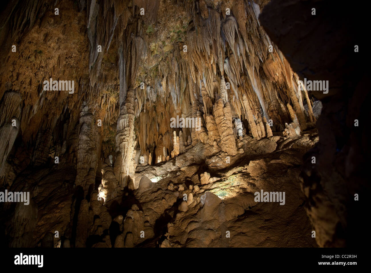 A cave with Stalagmites and stalactites Stock Photo - Alamy