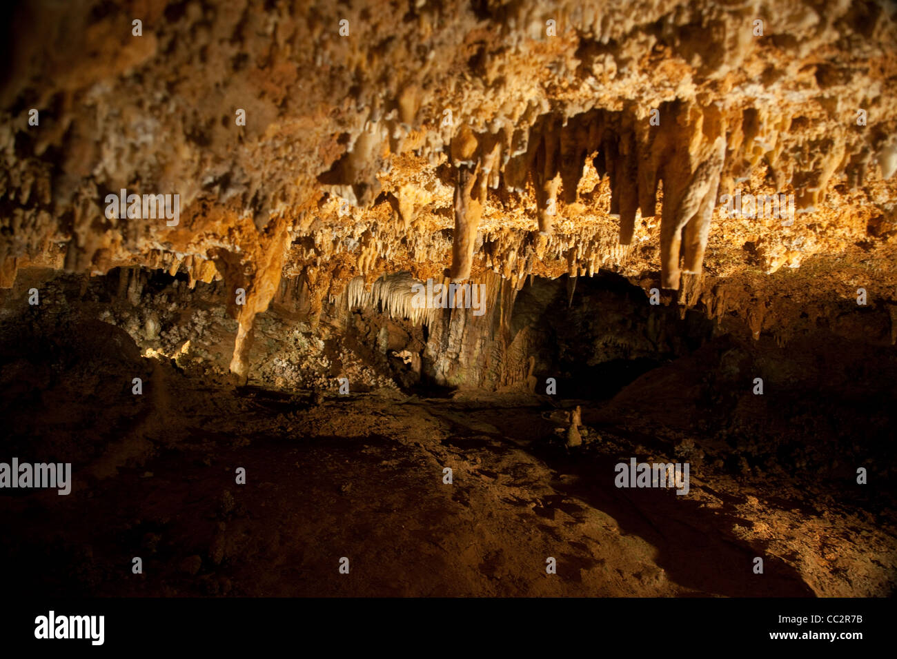 A cave with Stalagmites and stalactites Stock Photo - Alamy