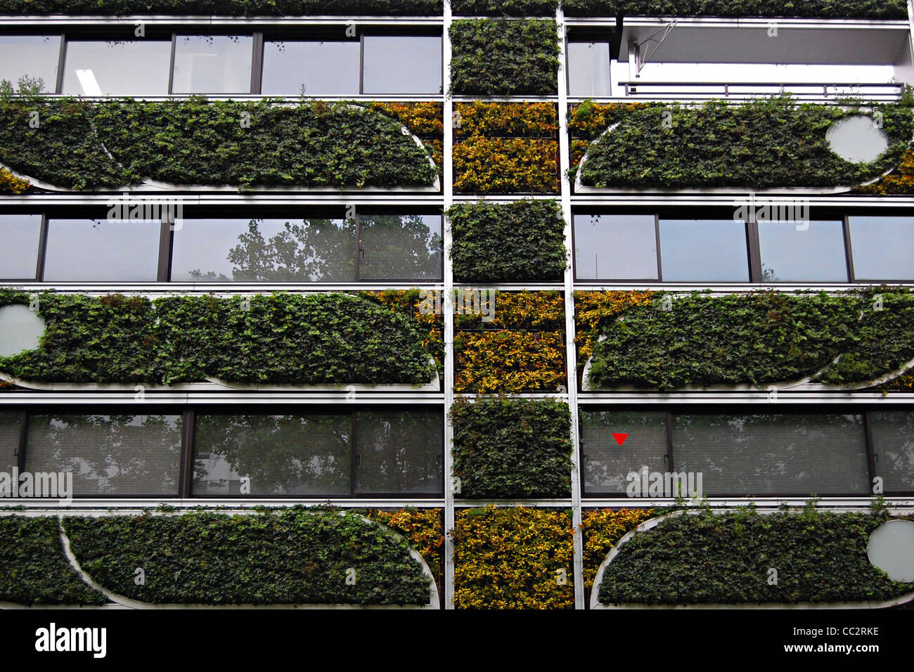 Ivy Covered Building, Tokyo, Japan Stock Photo - Alamy
