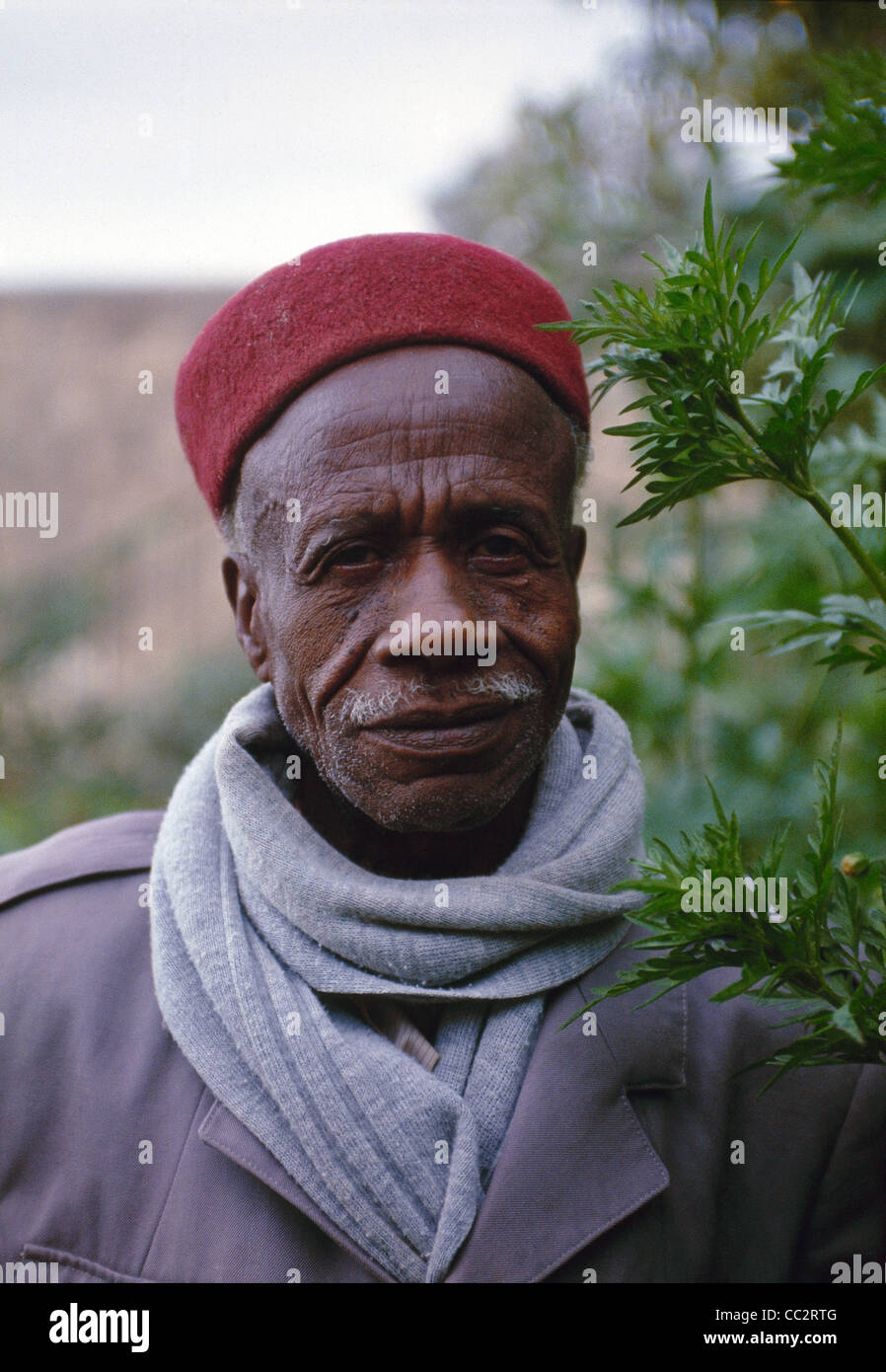 A portrait of a Libyan man in the Cyrenica region of the country, on ...