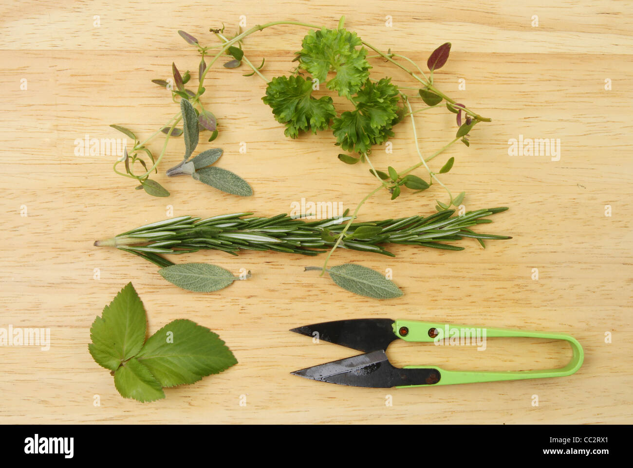 Freshly cut herbs hi-res stock photography and images - Alamy