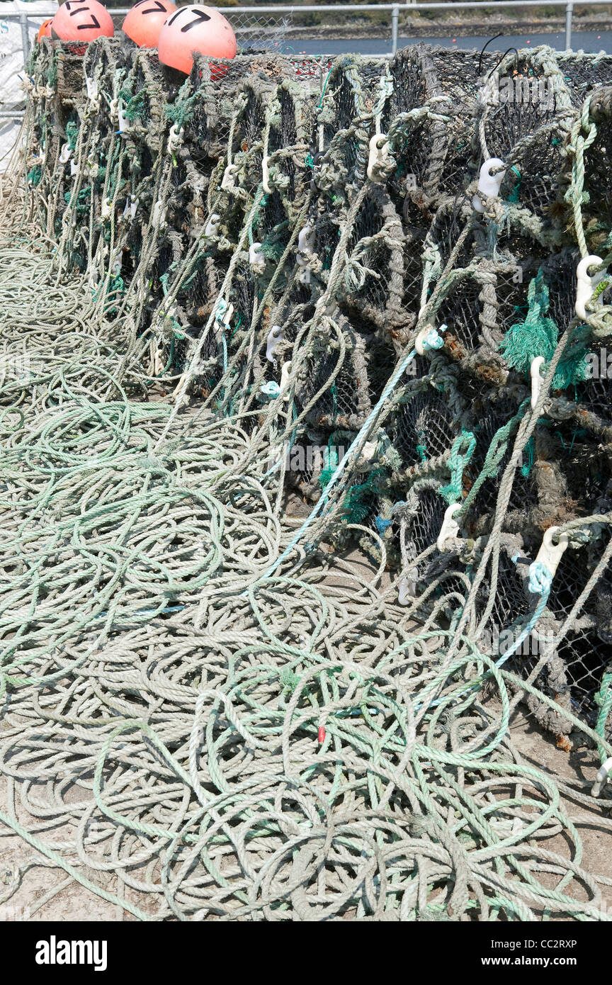 Lobster and crab pot drying in port Stock Photo - Alamy