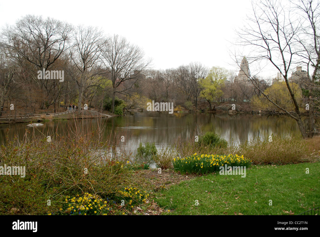 Spring in Central Park Stock Photo - Alamy