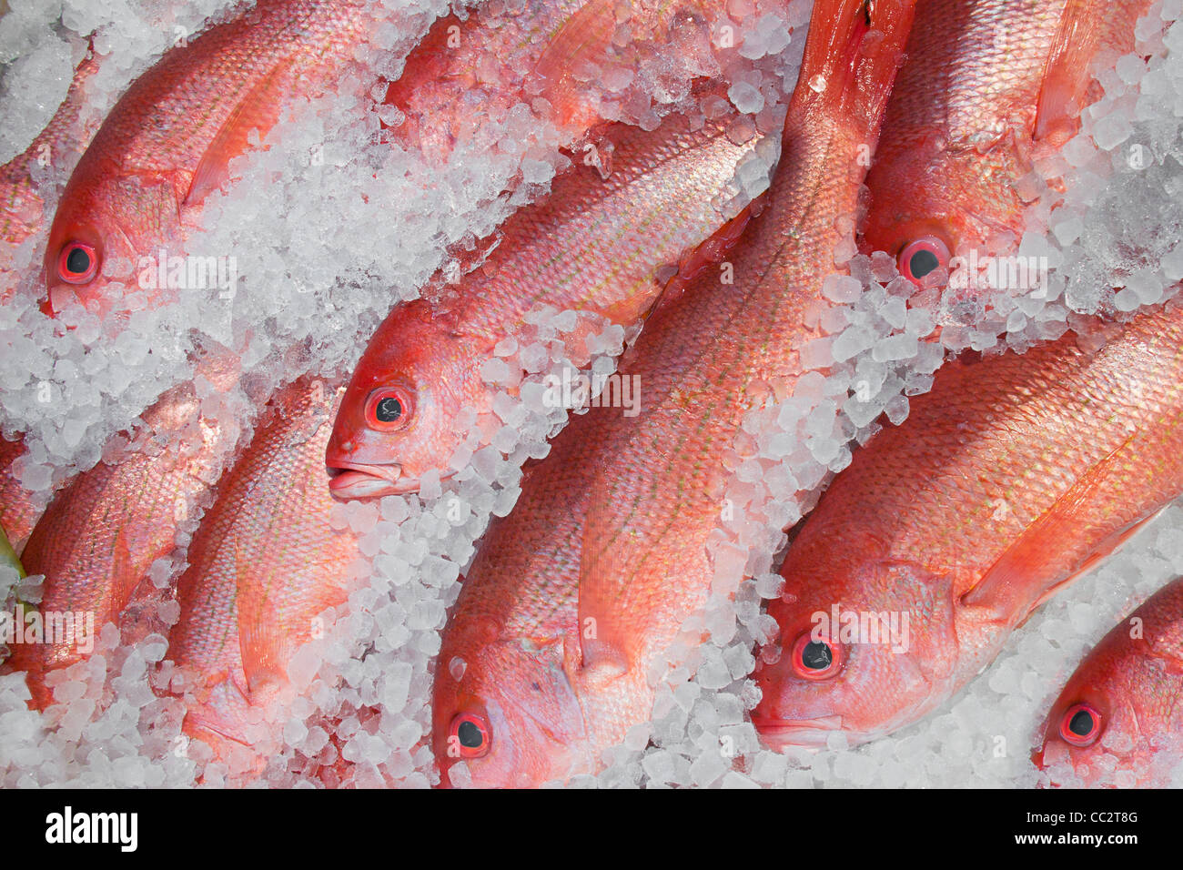 Arrangement shown hi-res stock photography and images - Alamy