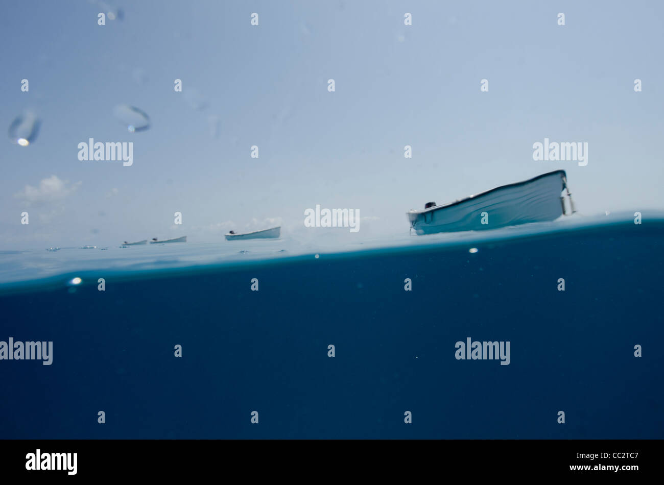 Half underwater hi-res stock photography and images - Alamy