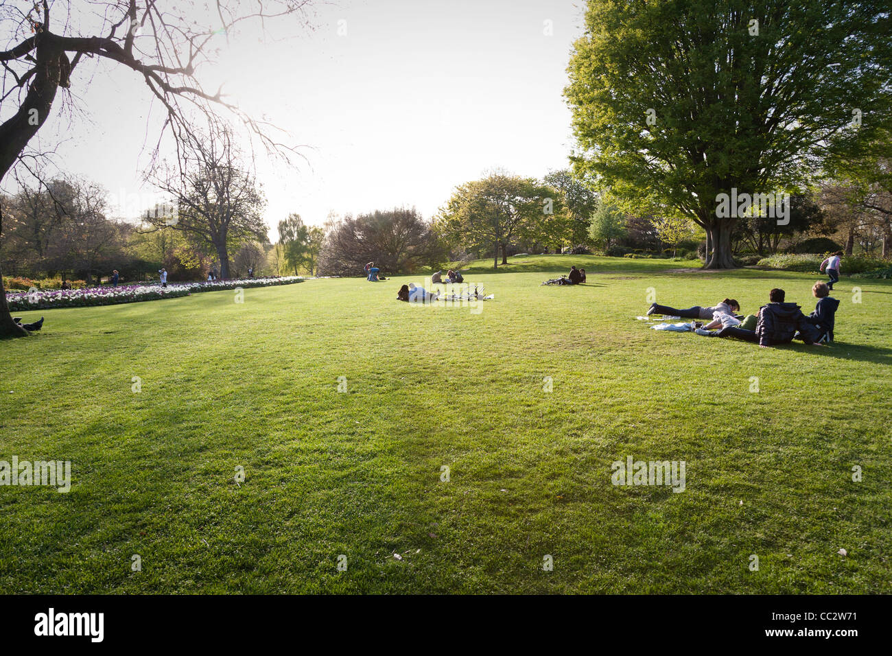 People relaxing in the Spring sun in Hyde Park, London Stock Photo - Alamy