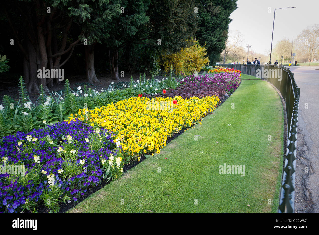 Bright springtime flower beds in Hyde Park, London Stock Photo - Alamy