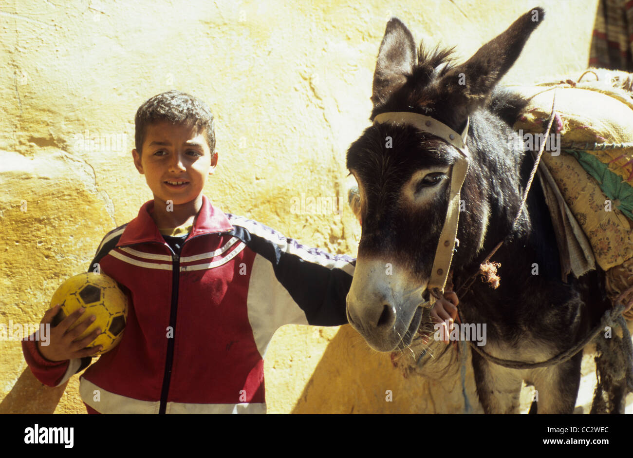 Donkey boy hi-res stock photography and images - Alamy