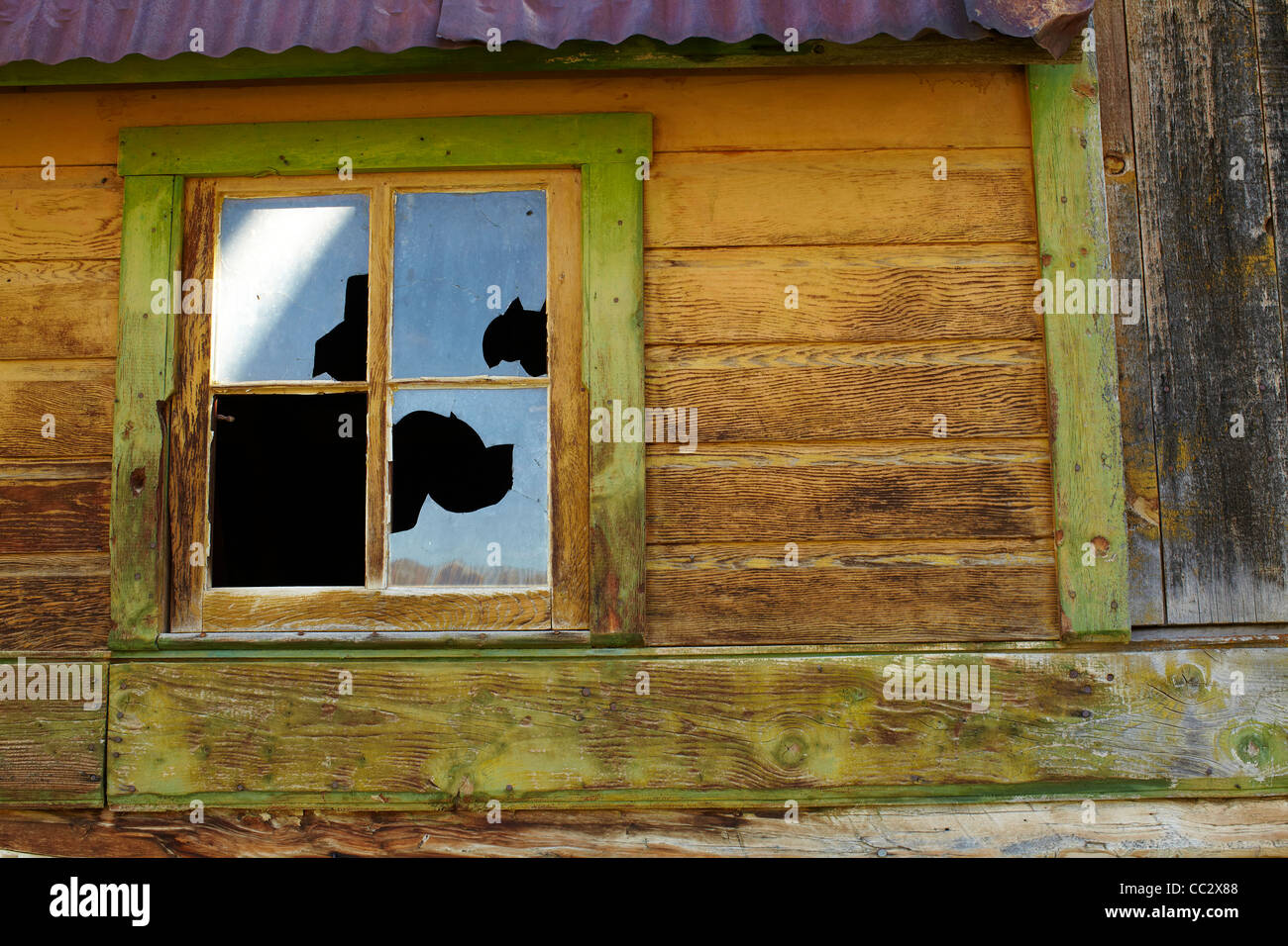 USA, Colorado, Abandoned log cabin with broken window Stock Photo - Alamy