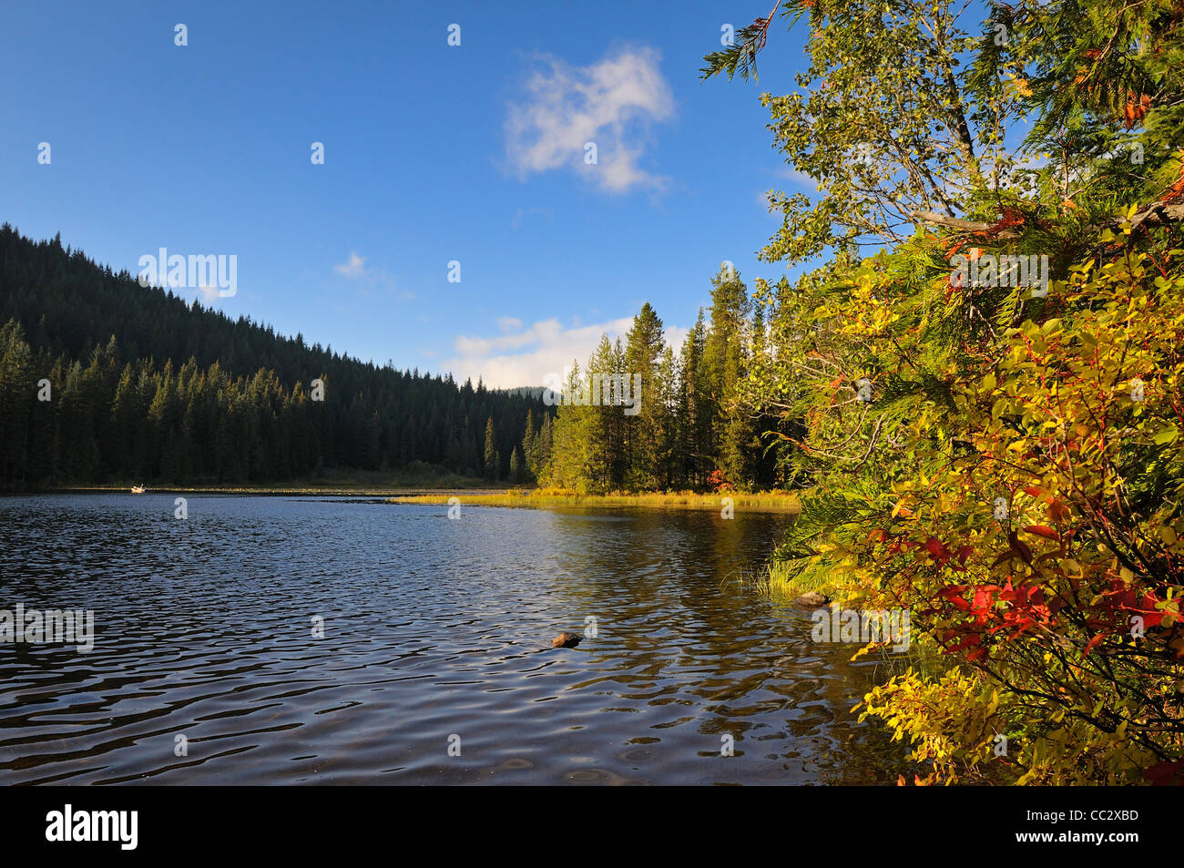 USA, Oregon, Multnomah County, Trillium Lake Stock Photo - Alamy