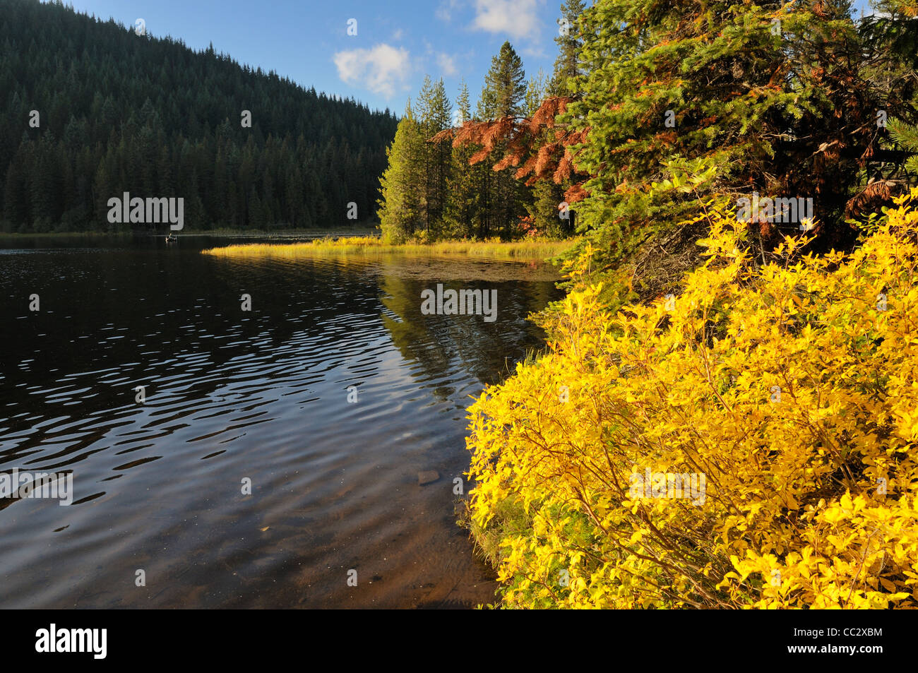 USA, Oregon, Multnomah County, Trillium Lake Stock Photo - Alamy
