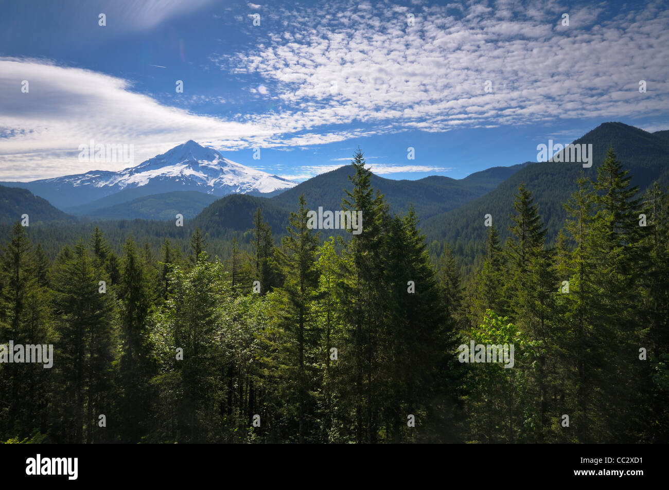 USA, Oregon, Multnomah County, Landscape with Mount Hood Stock Photo ...